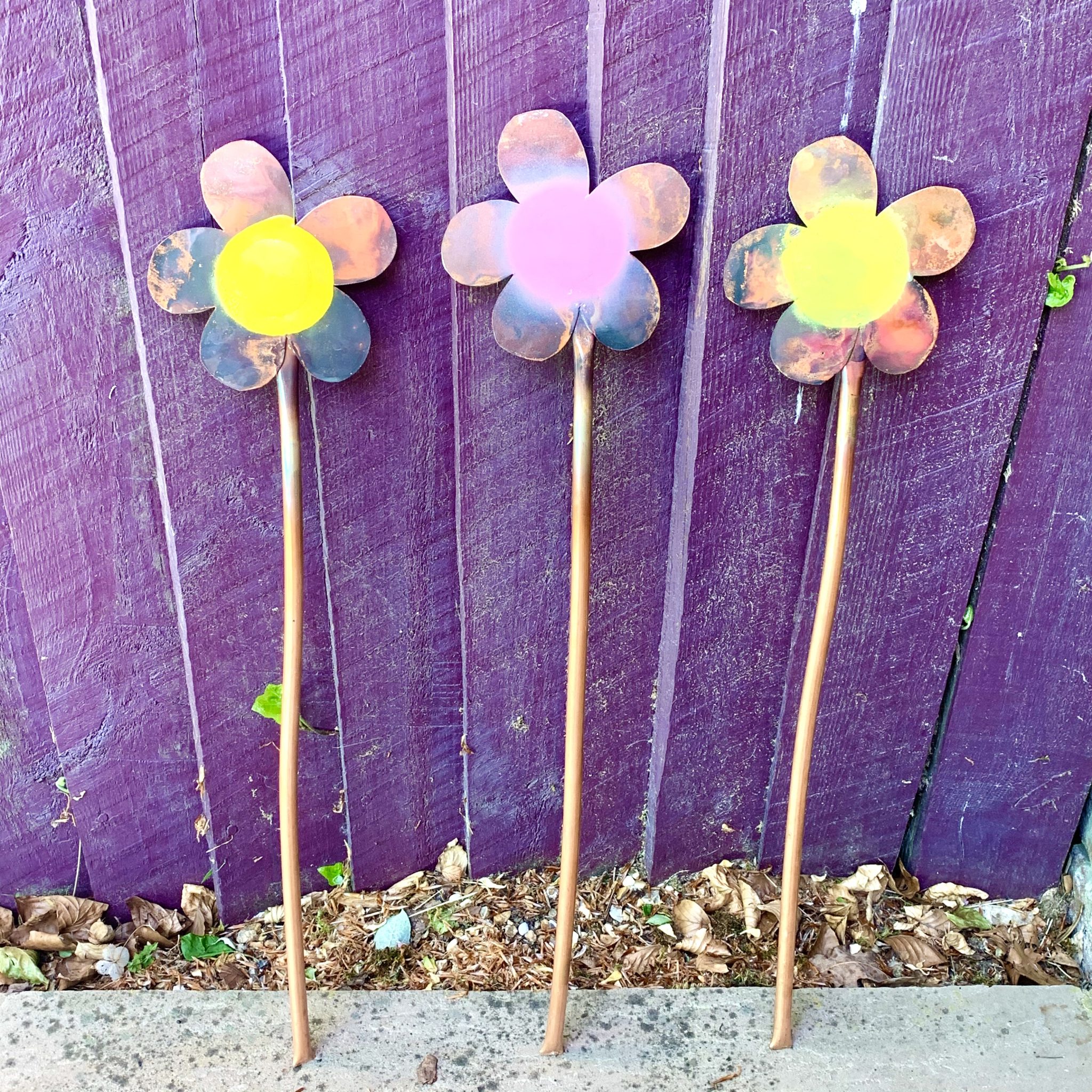 Mary Quant Flowers – Oenone44